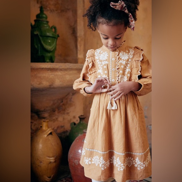 Louise Misha | Dresses | Louise Misha Embroidered Andrana Dress In ...